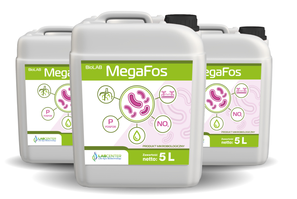 MegaFos – LAB Center