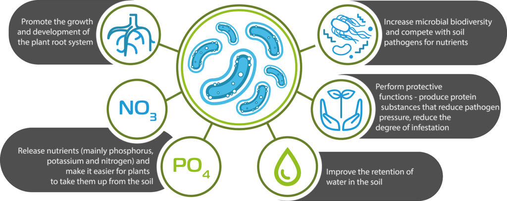 PeriALL – LAB Center